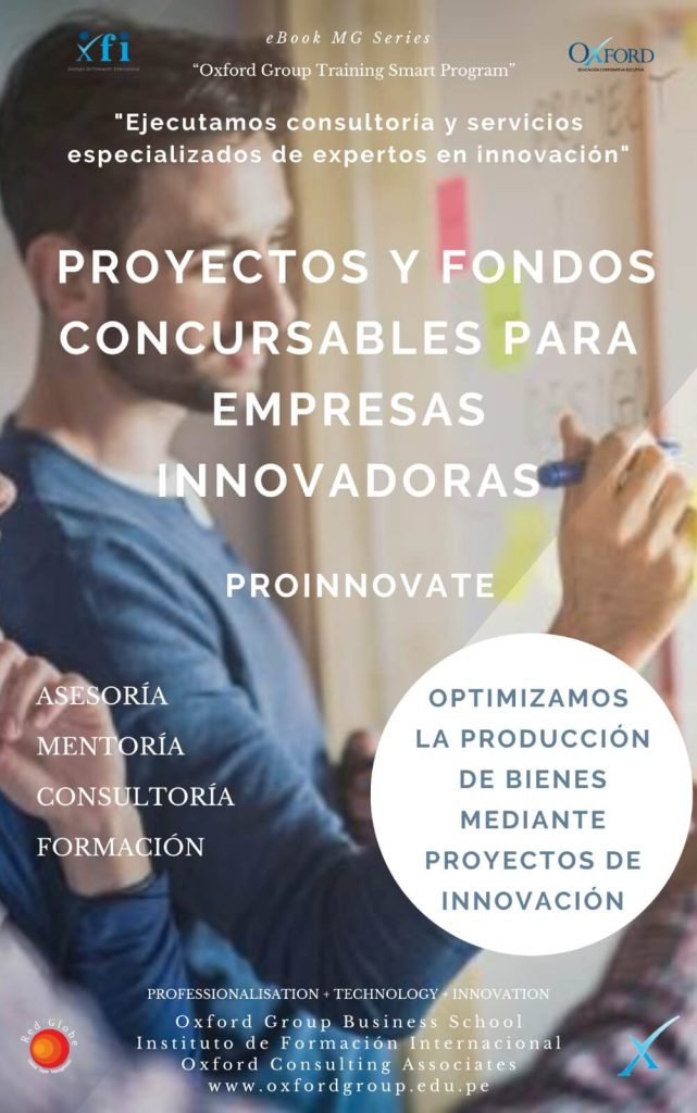 Estructura del Proyecto de Innovación y Emprendimiento - Oxford Group ...